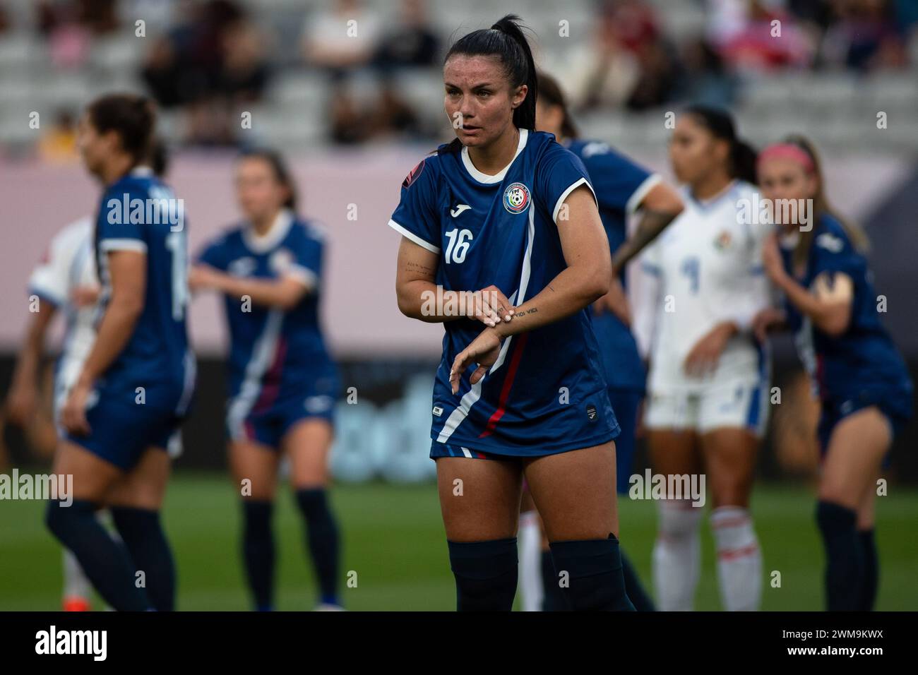 San Diego, USA. 21st Feb, 2024. San Diego, USA, February 21st 2024 ...