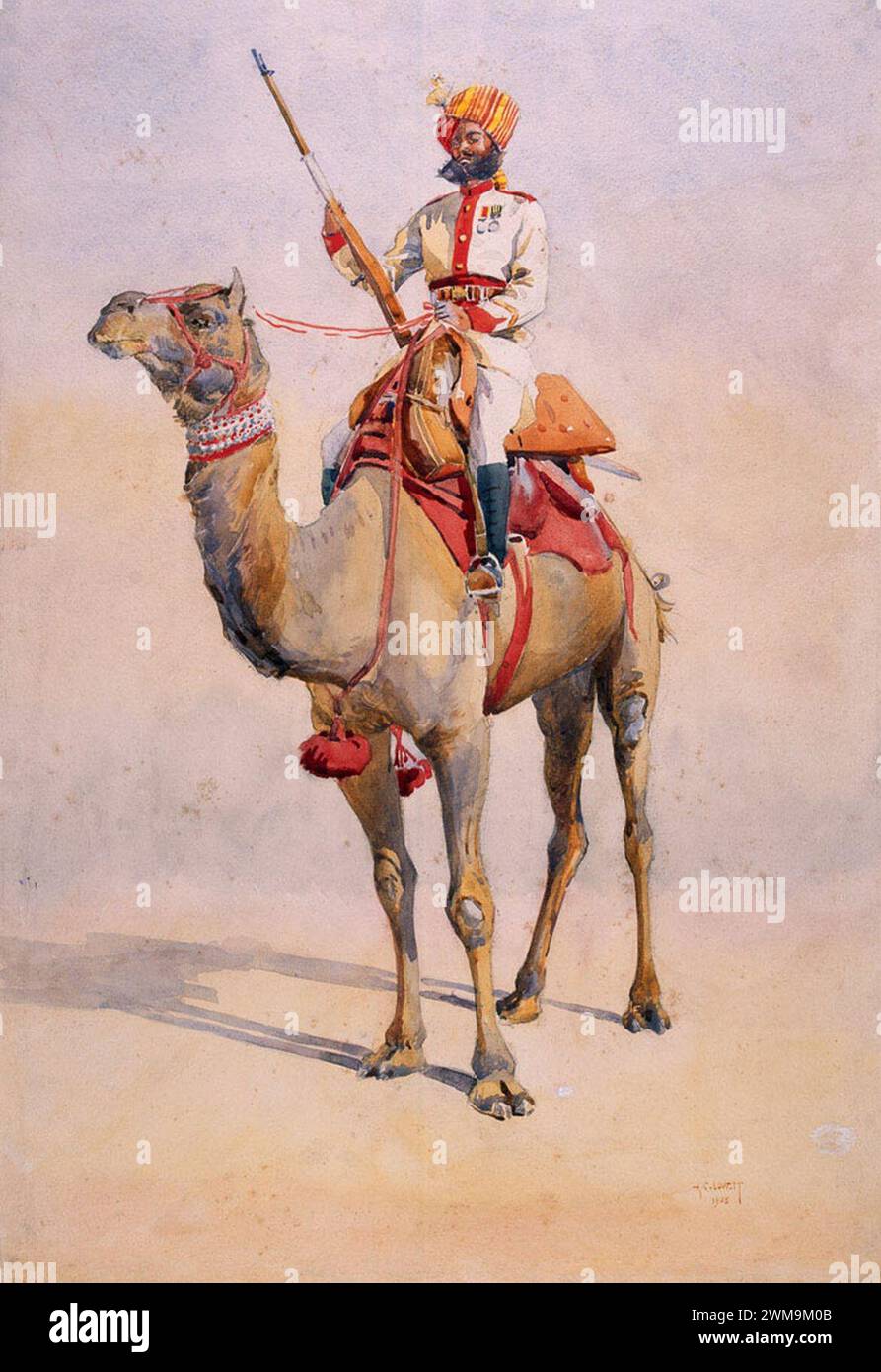 The camel corps hi-res stock photography and images - Alamy