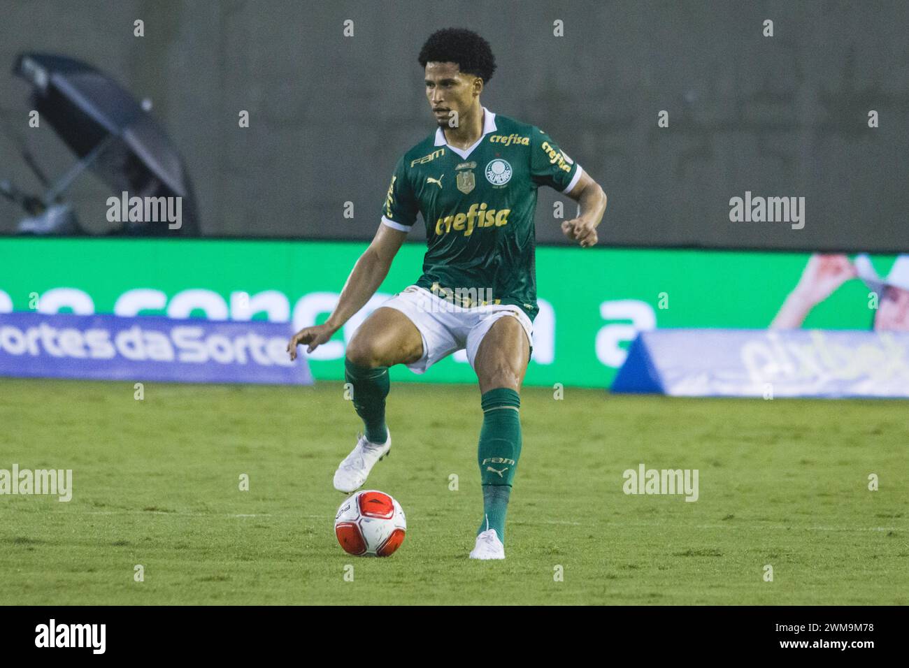 Murilo palmeiras 2024 hi-res stock photography and images - Alamy