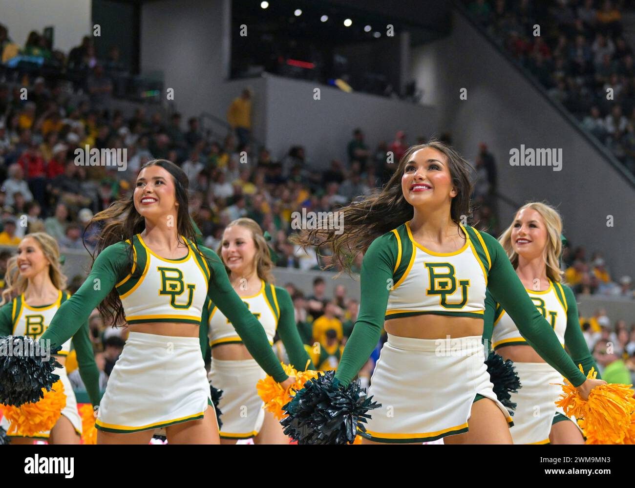 February 24 2024: Baylor Bears cheerleaders during the 2nd half of the ...