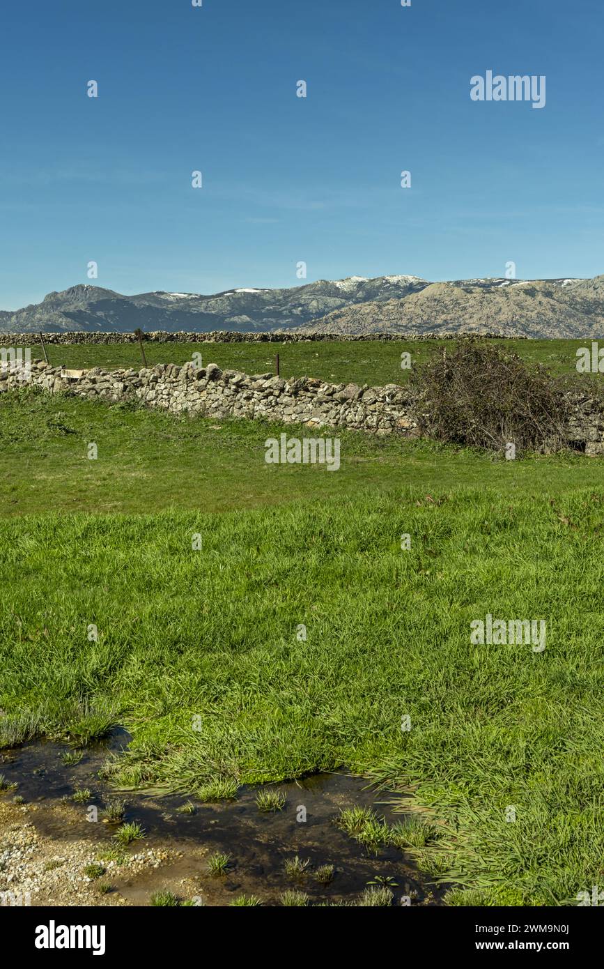 A grass field with separate plots with dividing stone walls and a ...