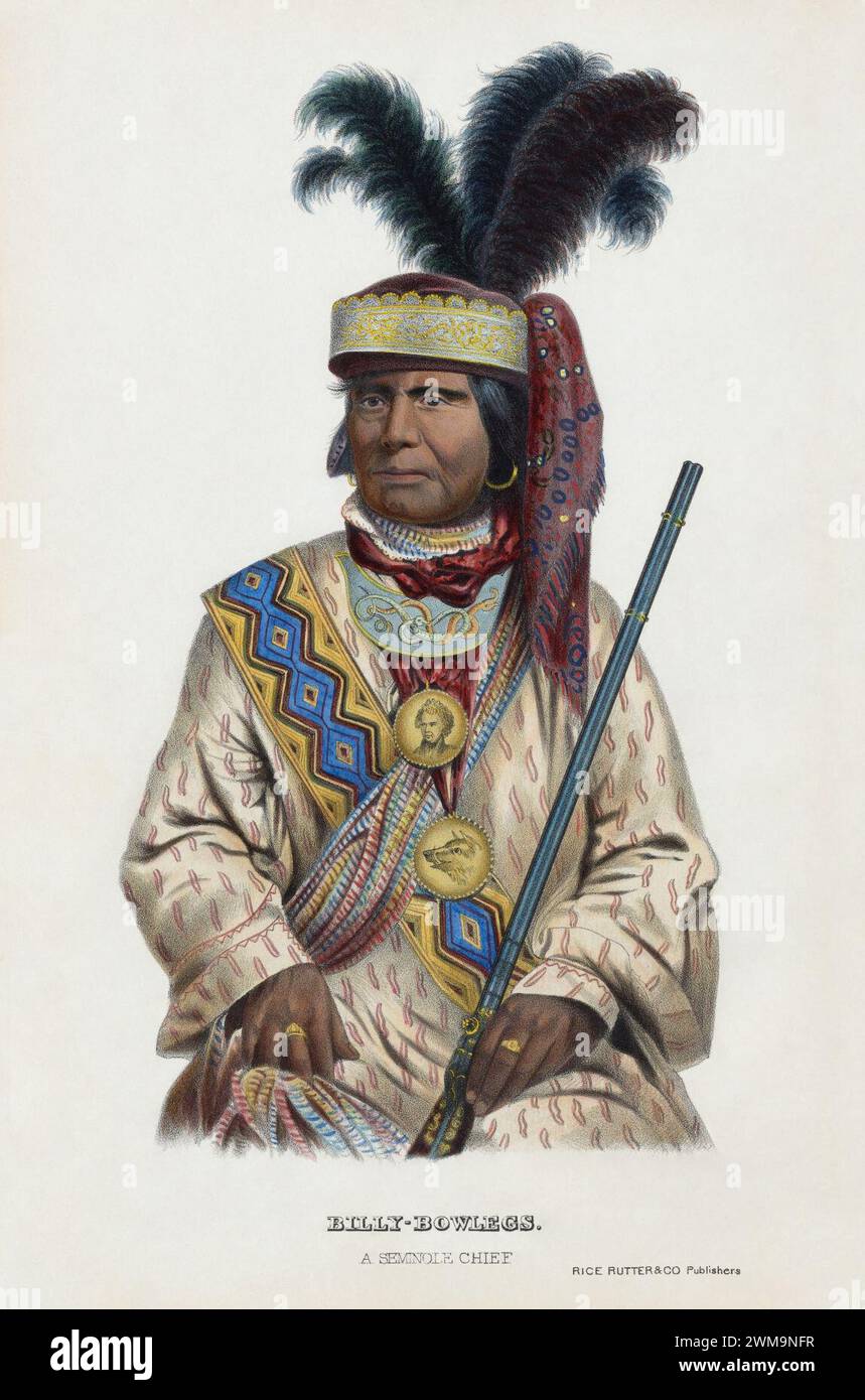 Billy Bowlegs (Holata Micco, ''Alligator Chief'' Stock Photo - Alamy