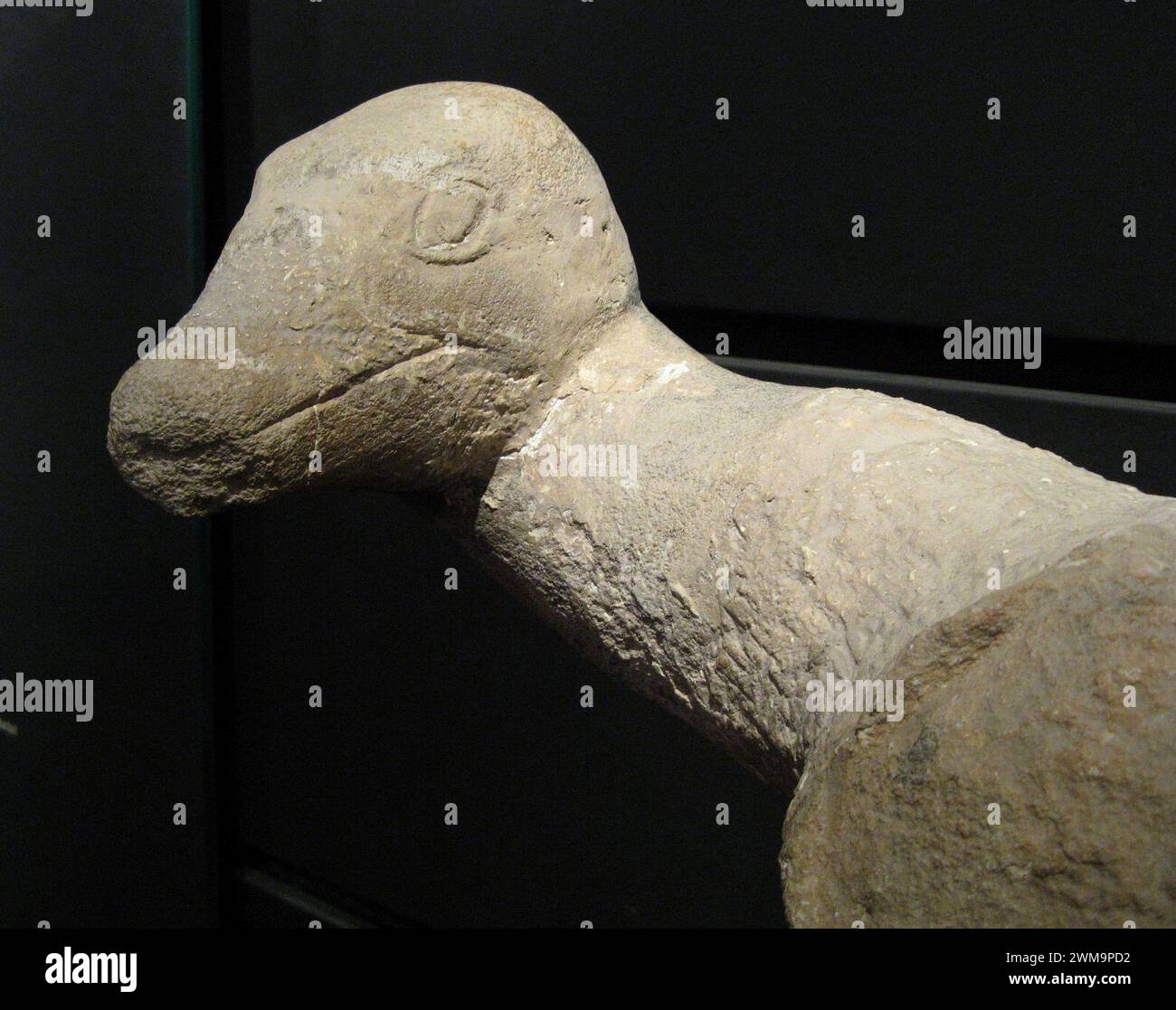 Bird 6016 from Roquepertuse - detail (Marseille, Mus d'arch med Stock ...