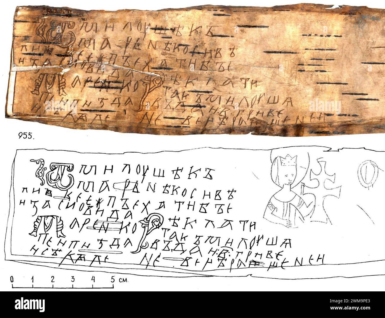 Birch bark letter N 955 Stock Photo - Alamy