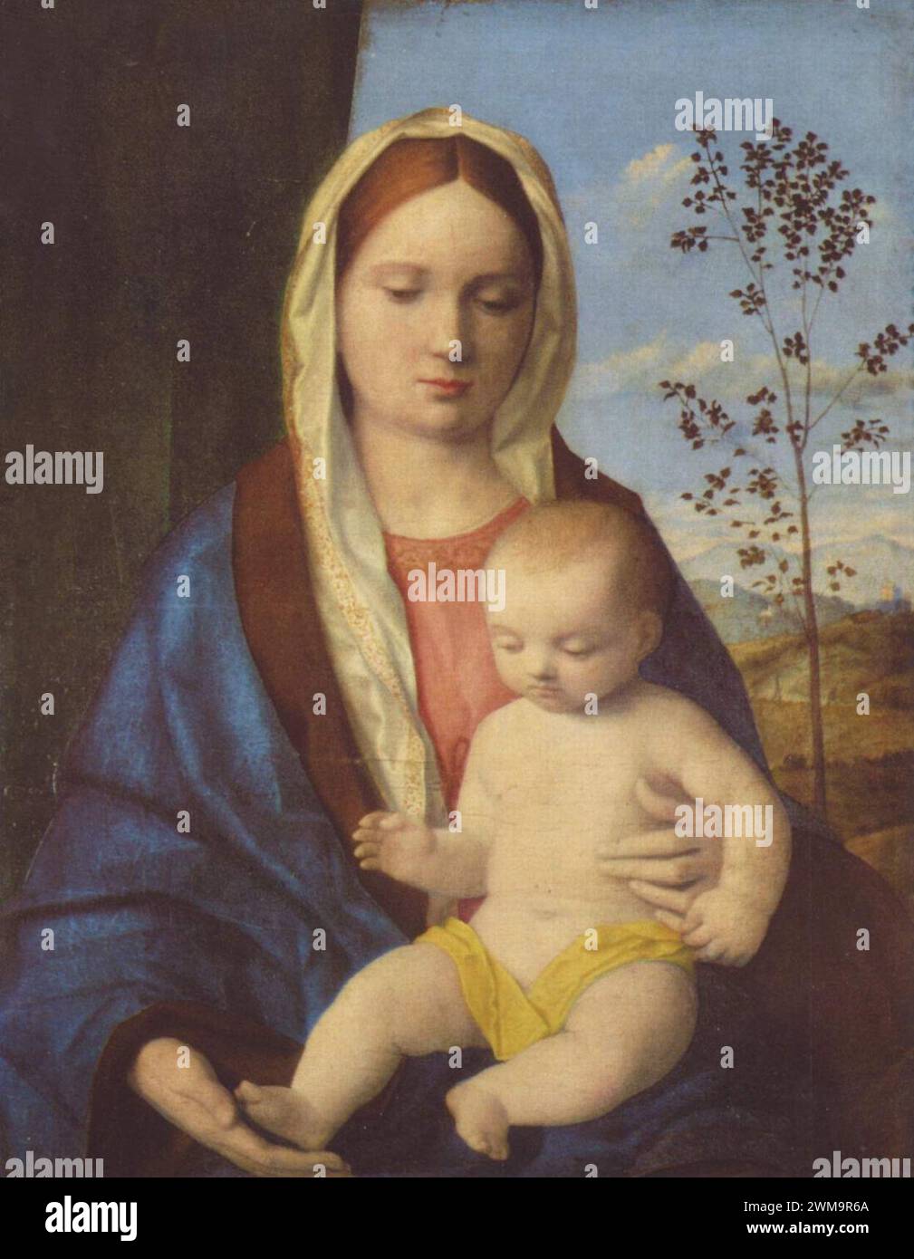 Giovanni Bellini - Madonna col Bambino Stock Photo - Alamy