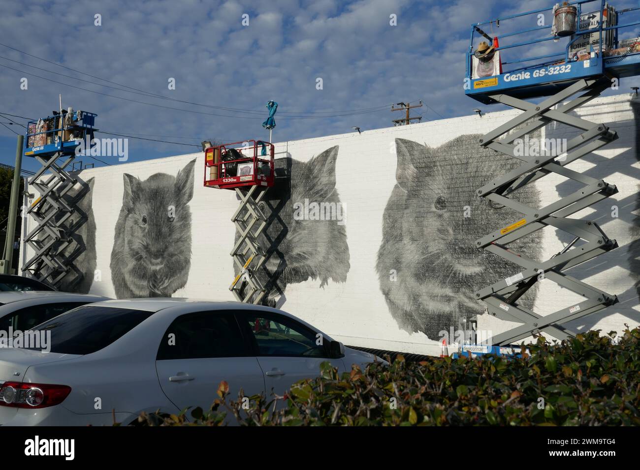 Los Angeles, California, USA 23rd February 2024 Rats Street Art Mural ...