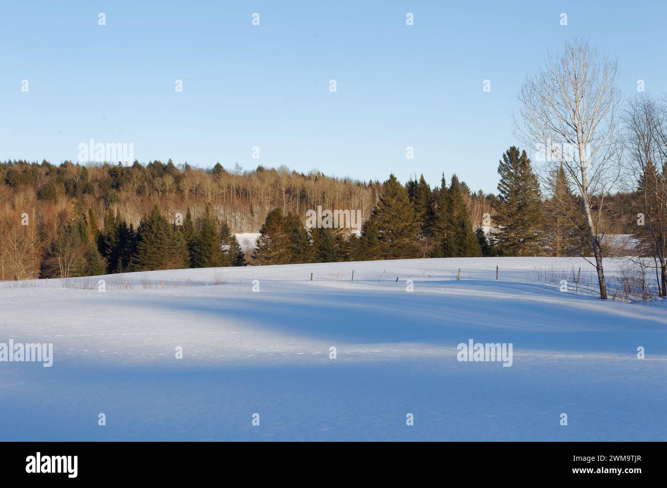 Rural quebec farmland hi-res stock photography and images - Alamy