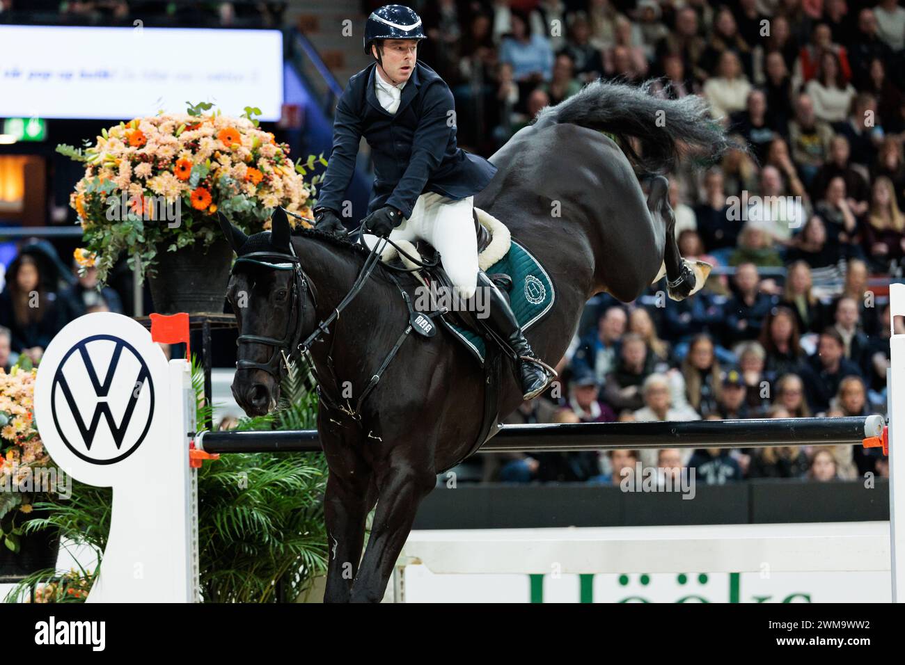 Horse vermento hi-res stock photography and images - Alamy