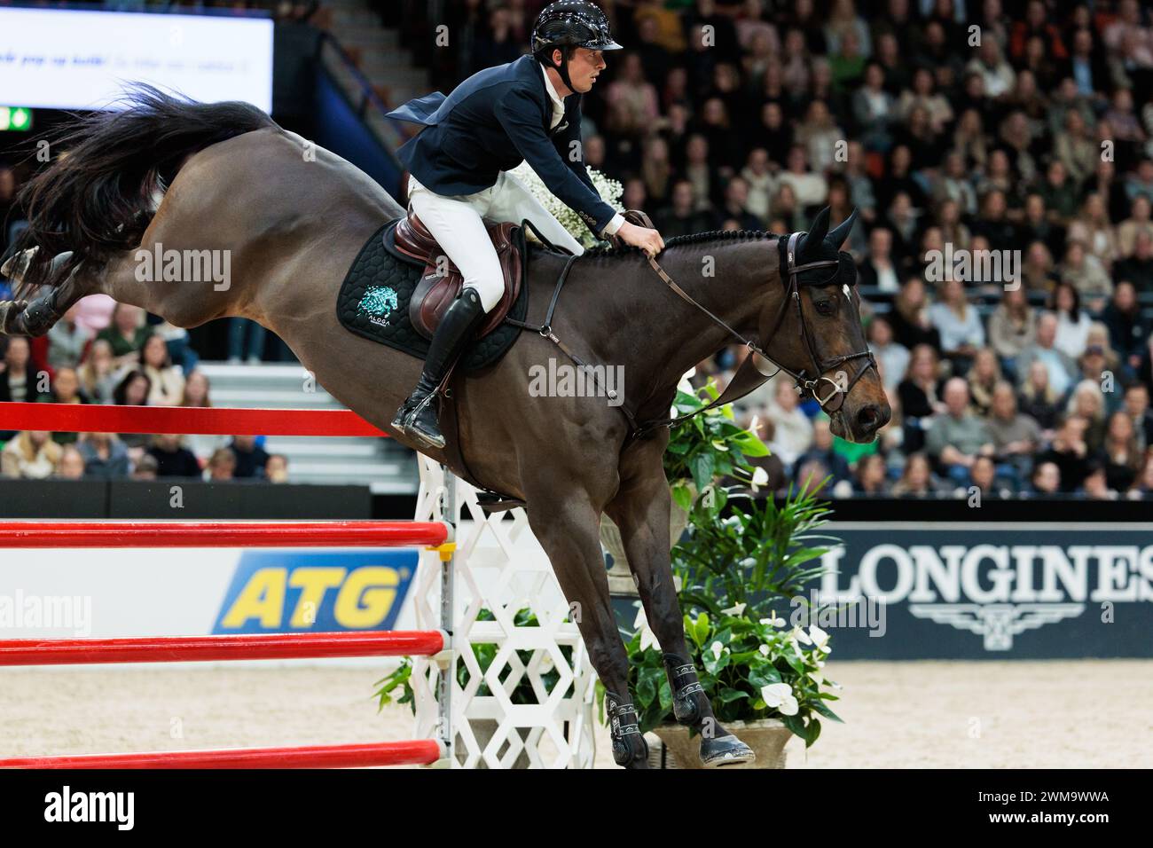 Bertram allen pacino amiro hi-res stock photography and images - Alamy