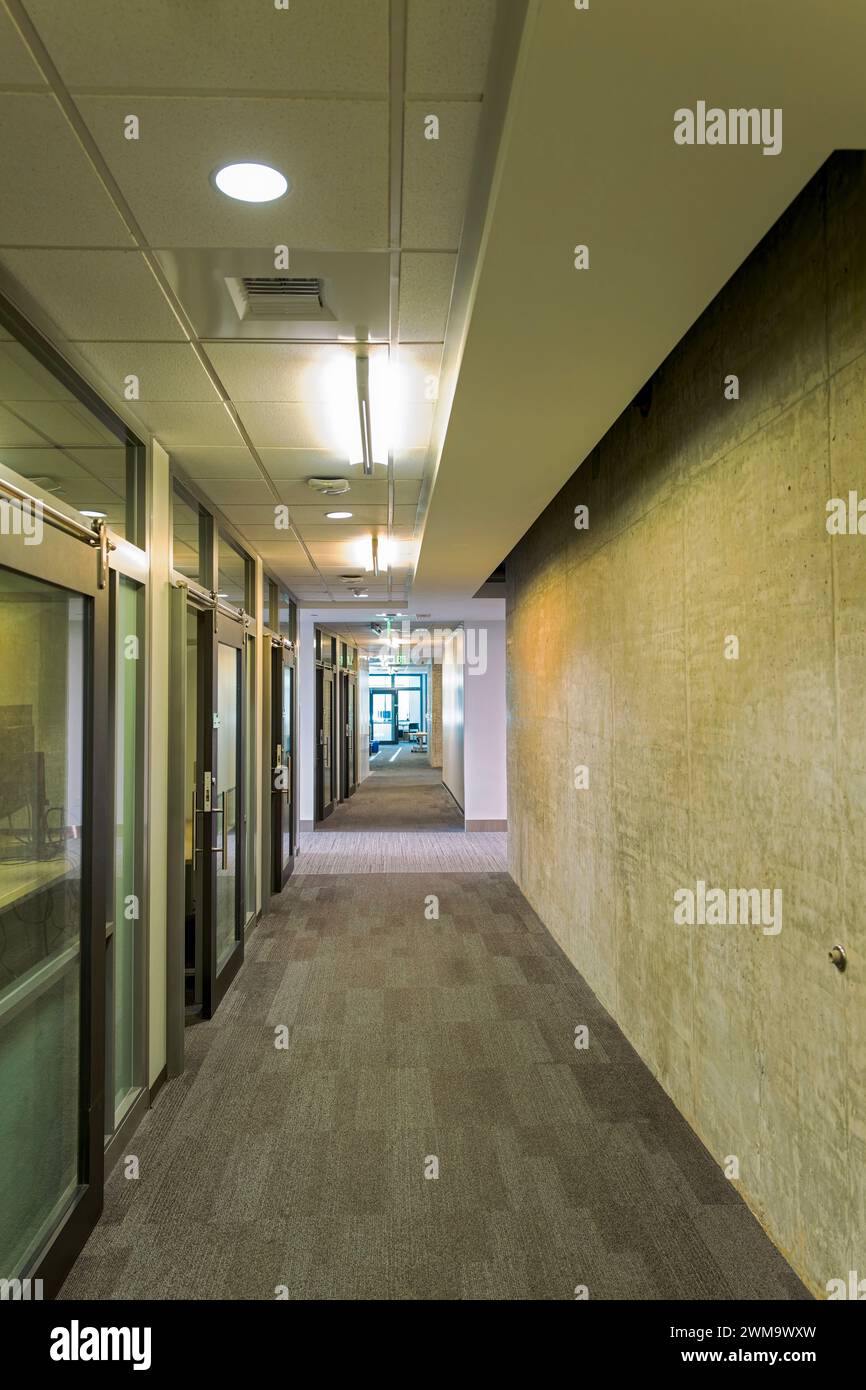 Offices with glass doors line the hallways of a modern office building Stock Photo - Alamy