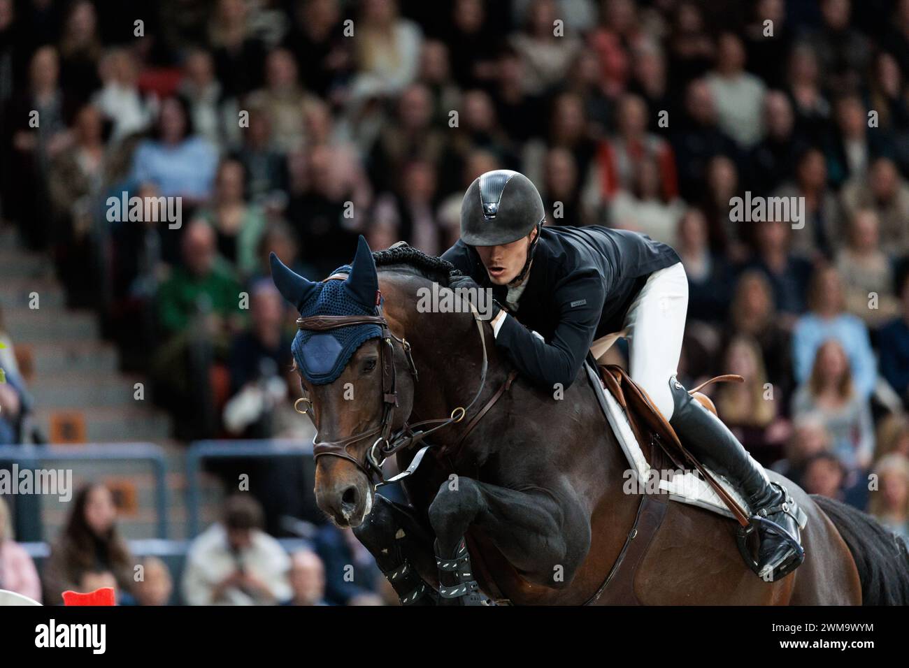 Lars Kersten of Netherland with Funky Fred Marienshof Z during the CSI5 ...