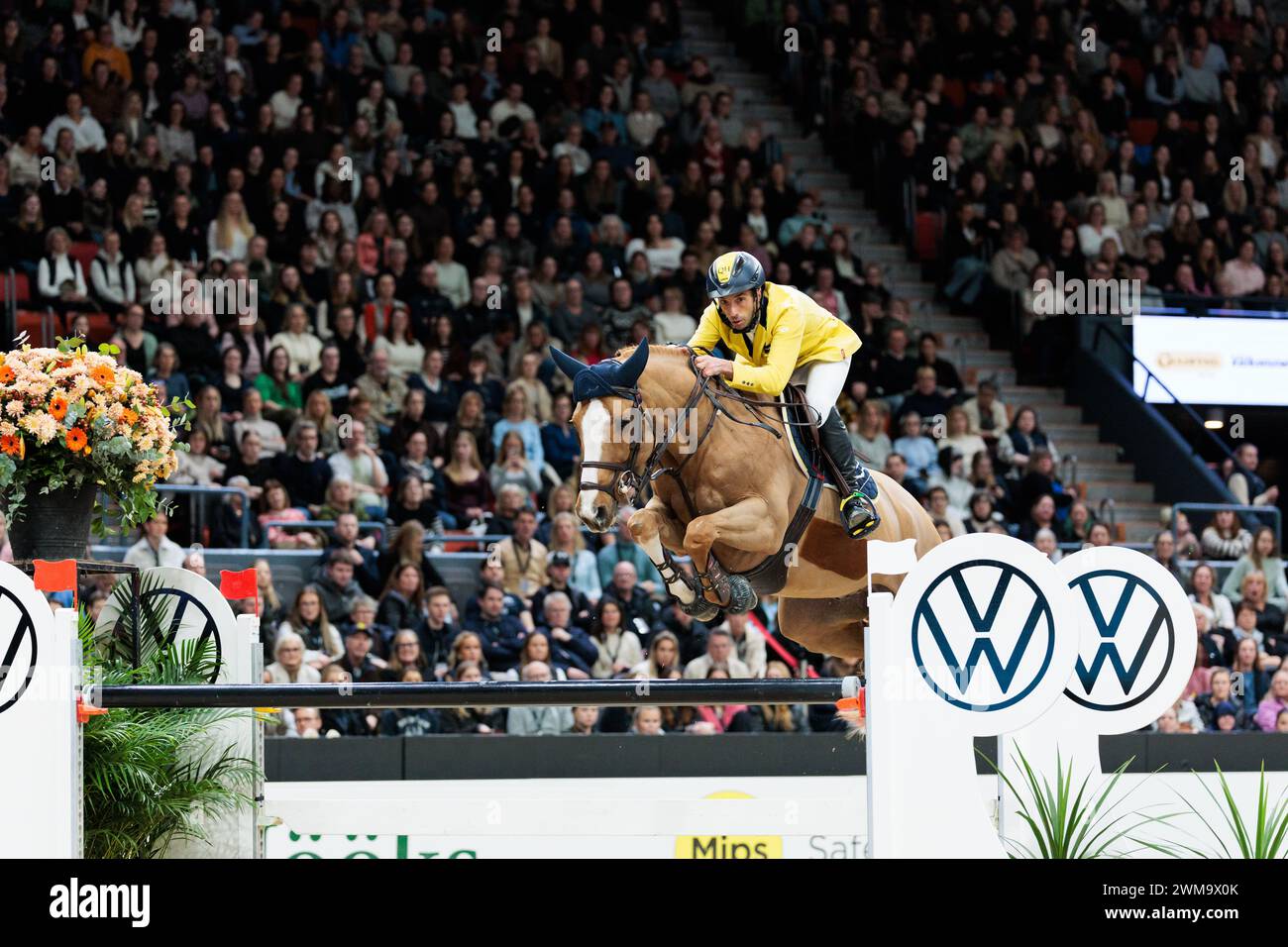 Scandinavium, Sweden. 24th Feb, 2024. Yuri Mansur of Brazil with Vitiki ...