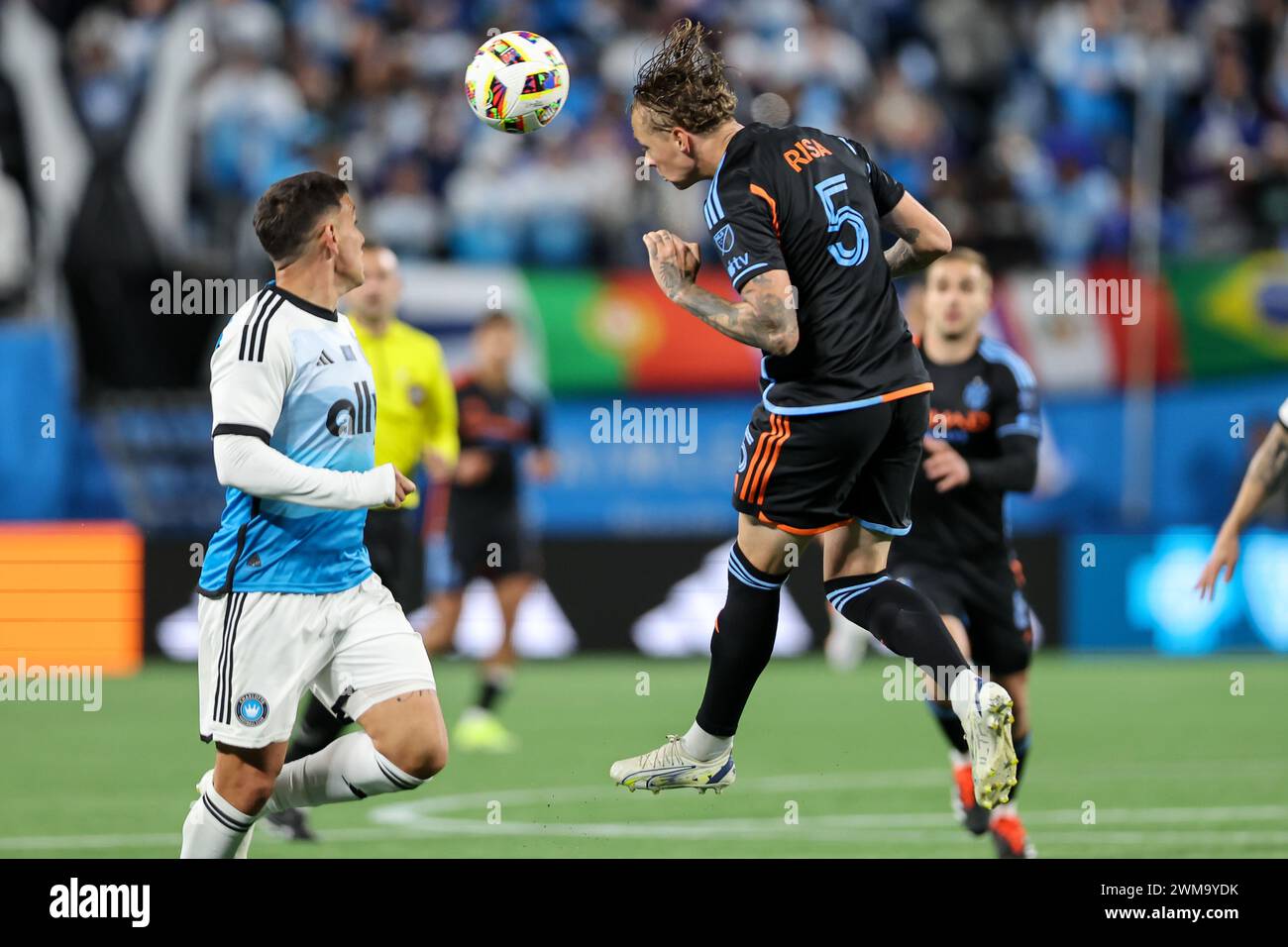 Birk risa hi-res stock photography and images - Alamy