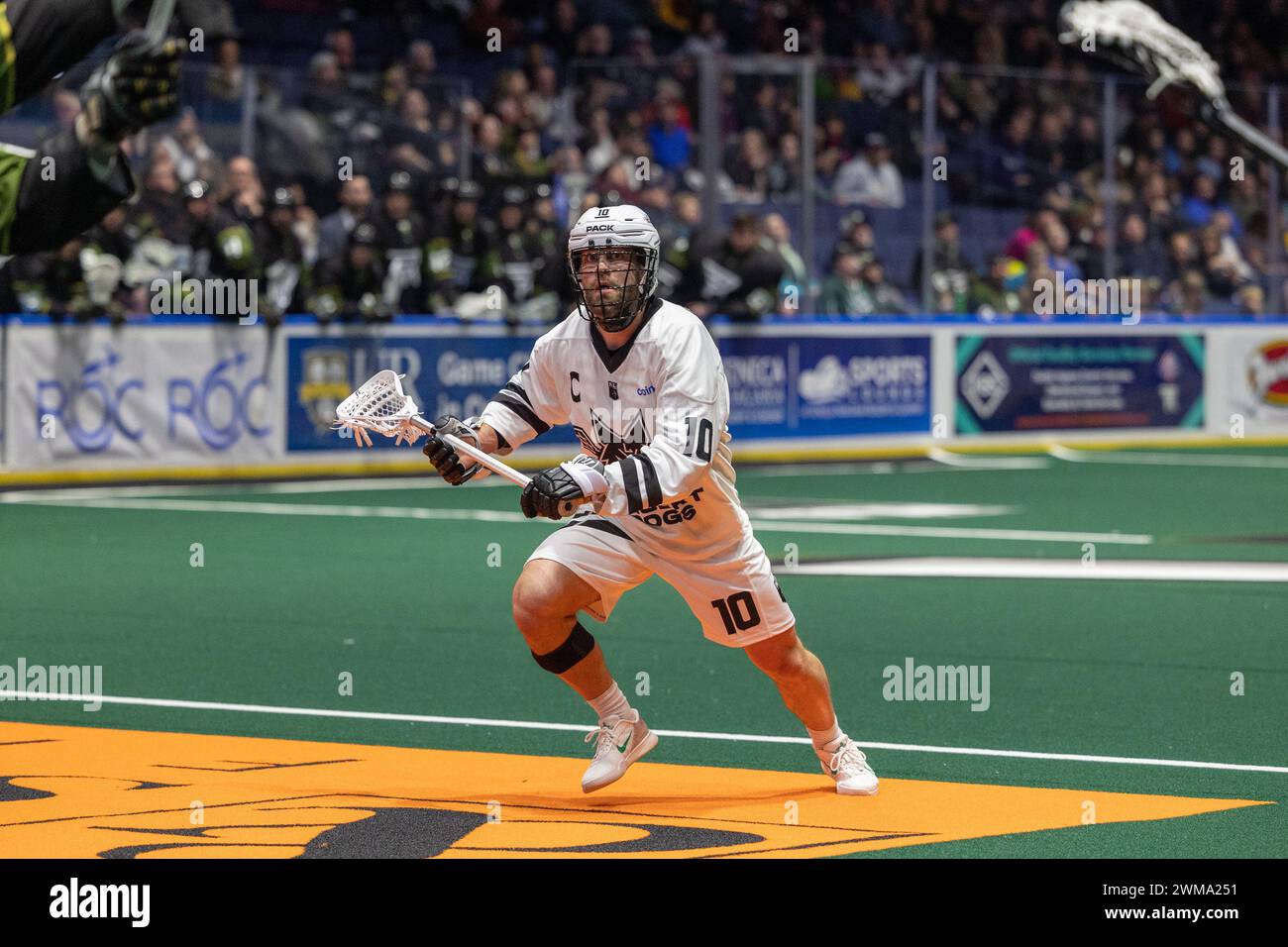 Arena heller hi-res stock photography and images - Alamy