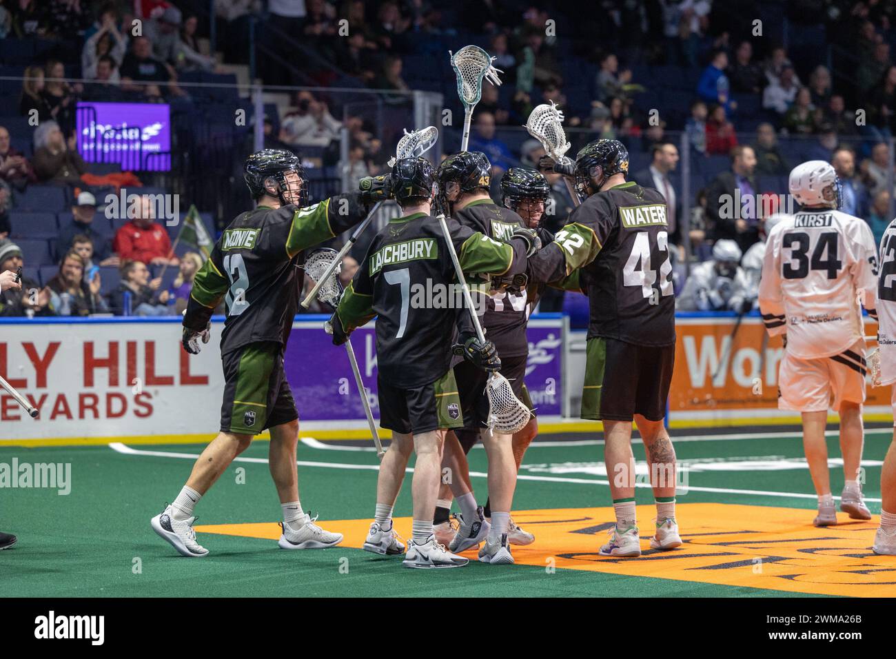 February 24th, 2024: Rochester Knighthawks players celebrate a goal in the third quarter against ...