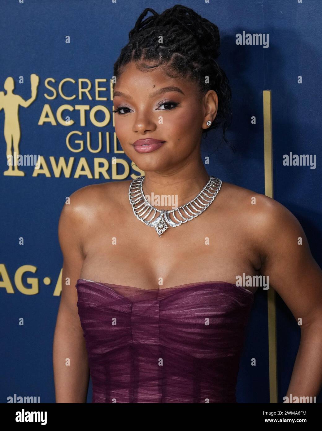 Los Angeles, USA. 24th Feb, 2024. Halle Bailey walking on the red ...