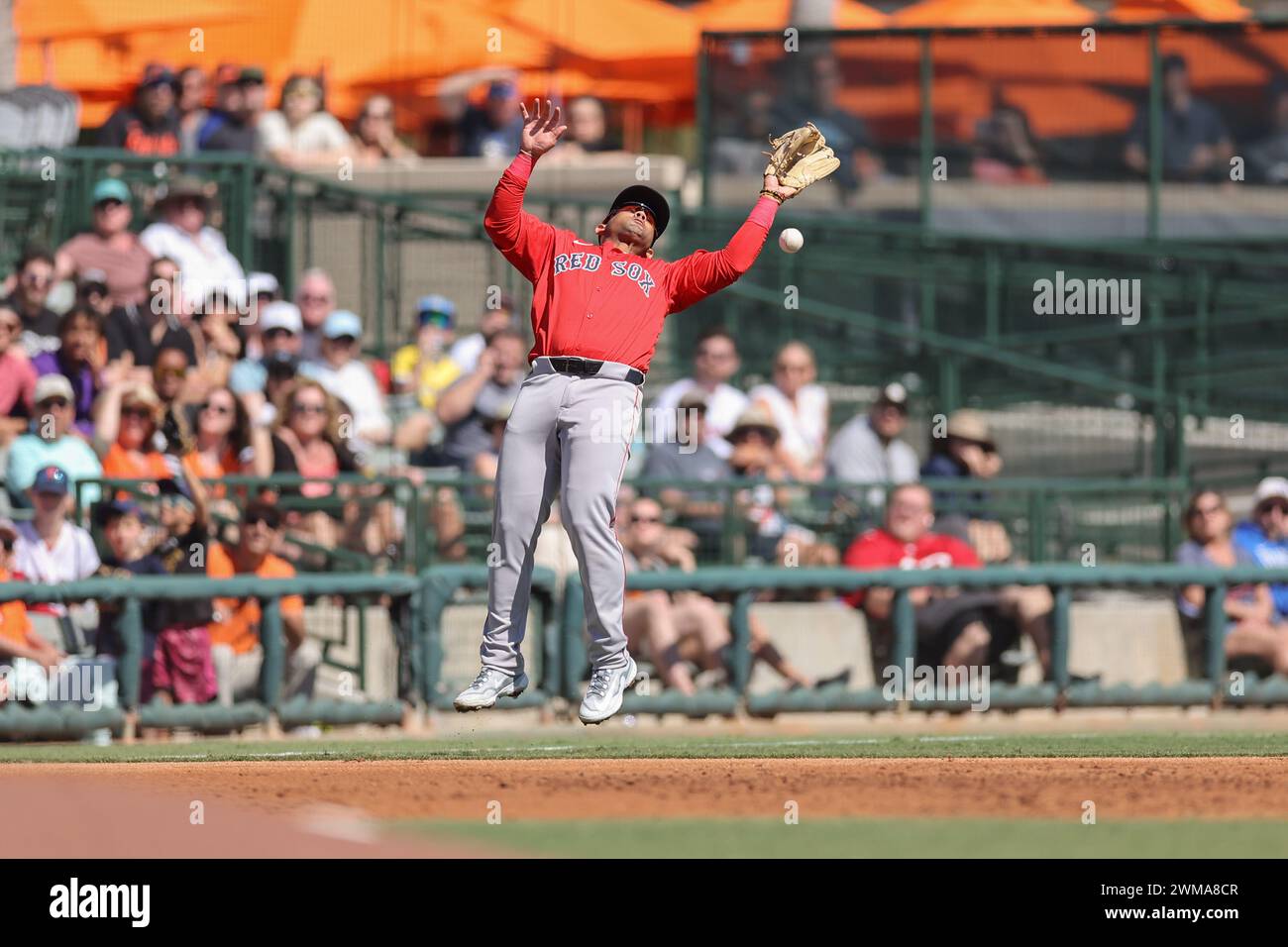 Sarasota FL USA; Boston Red Sox third baseman Jamie Westbrook (73 ...
