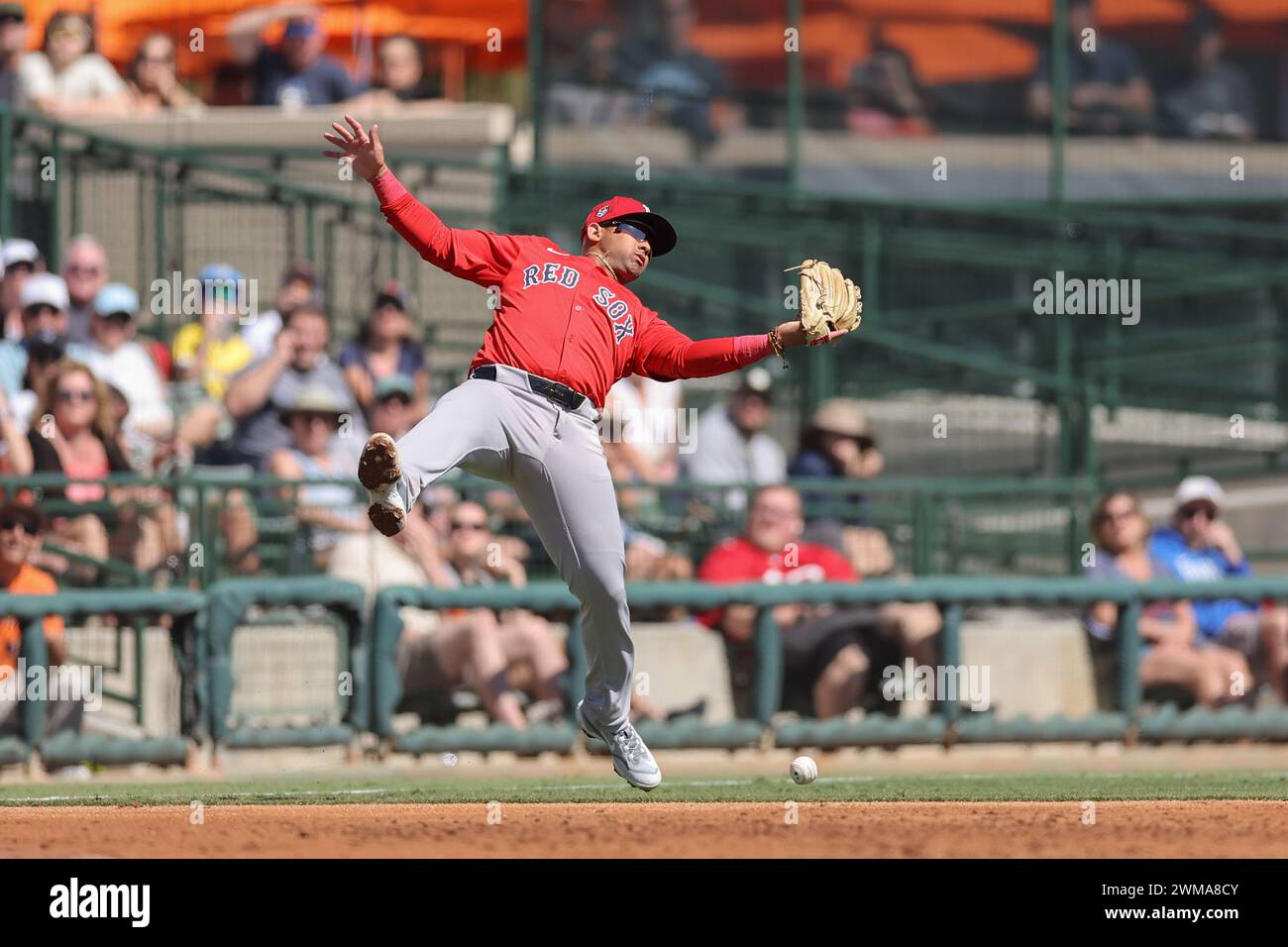 Sarasota FL USA; Boston Red Sox third baseman Jamie Westbrook (73 ...