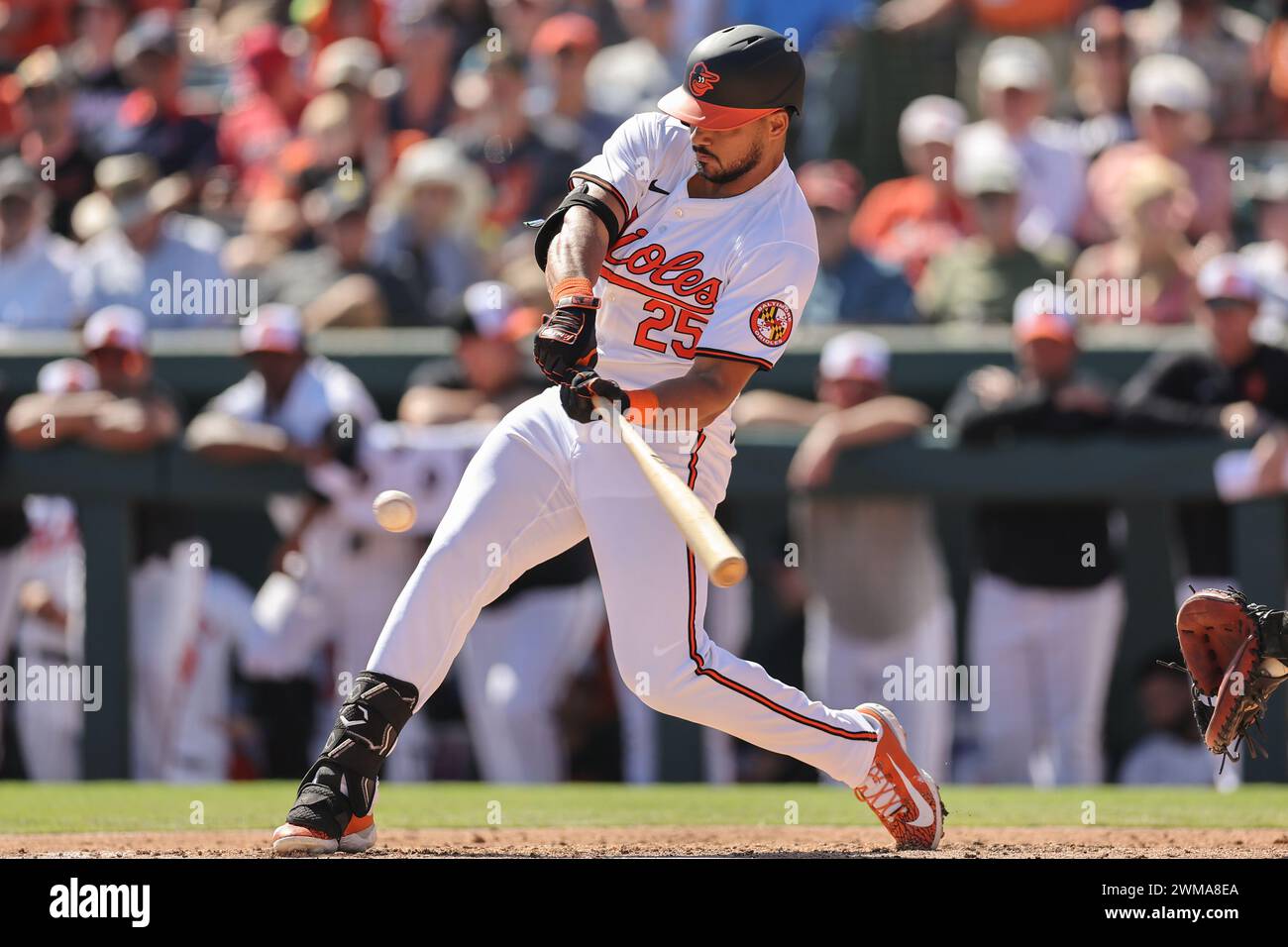 Sarasota FL USA; Baltimore Orioles right fielder Anthony Santander (25 ...