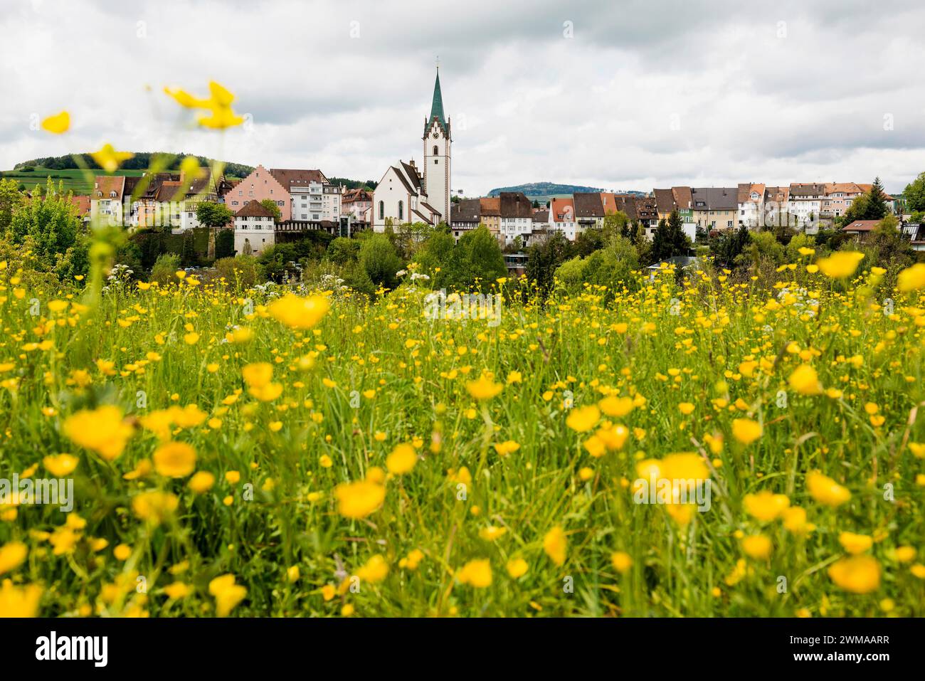 Engen hegau hi-res stock photography and images - Alamy