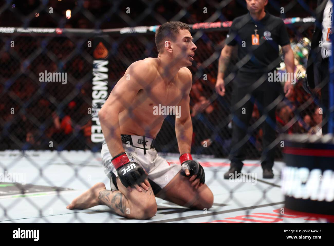 Mexico City, Distrito Federal, Mexico. 24th Feb, 2024. Manuel Torres ...