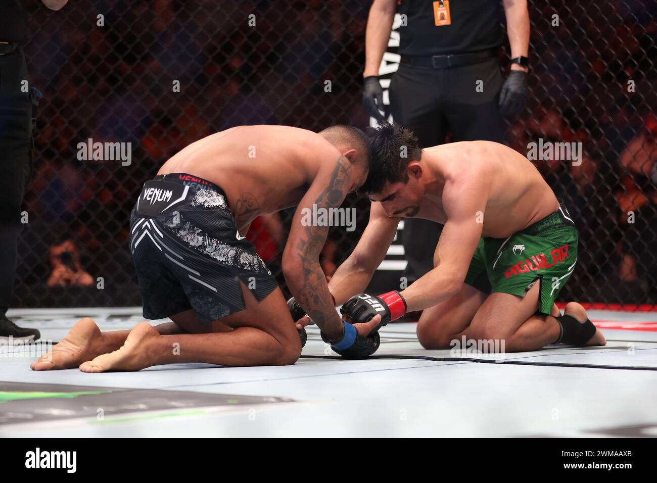 Jesus aguilar and mateus mendonca hi-res stock photography and images ...