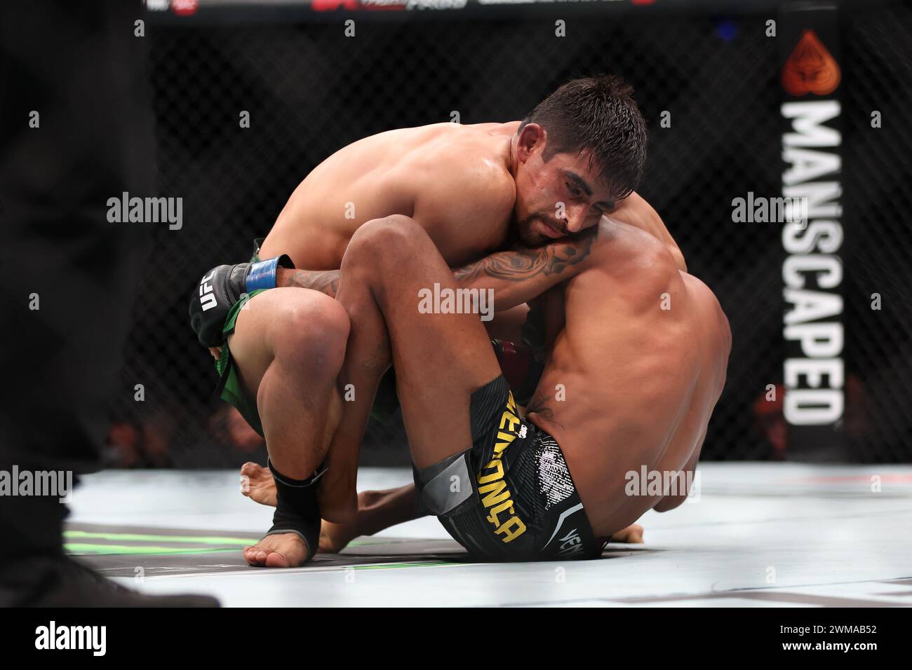 Jesus aguilar and mateus mendonca hi-res stock photography and images ...