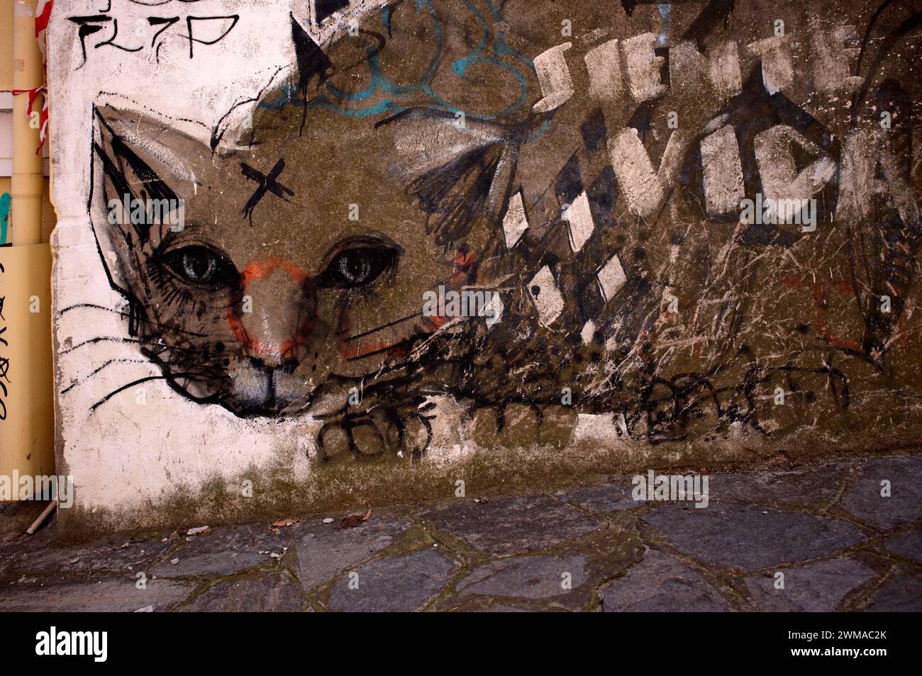 Graffiti cat hi-res stock photography and images - Alamy
