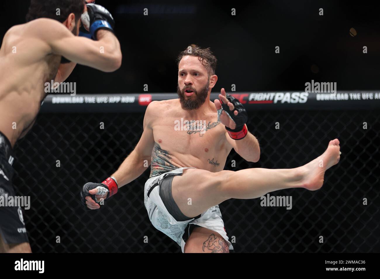 Mexico City, Distrito Federal, Mexico. 24th Feb, 2024. Erik Silva and ...