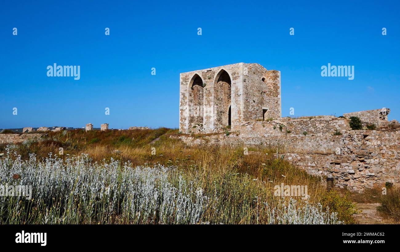 Large ruins in the middle of a wild floral landscape under a deep blue ...