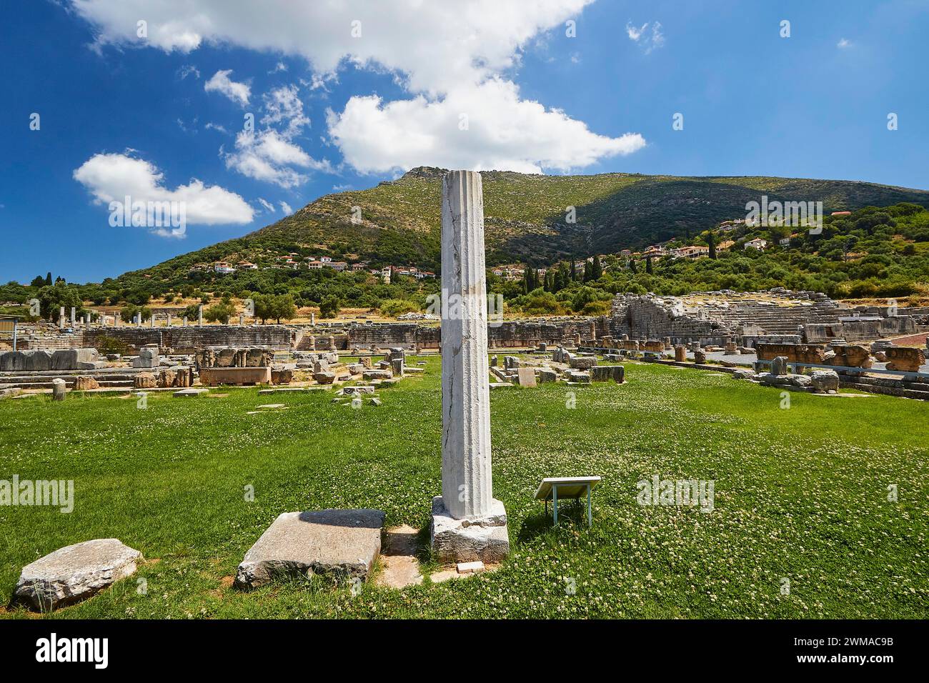 Ancient column stands in the foreground of a historical site with green ...