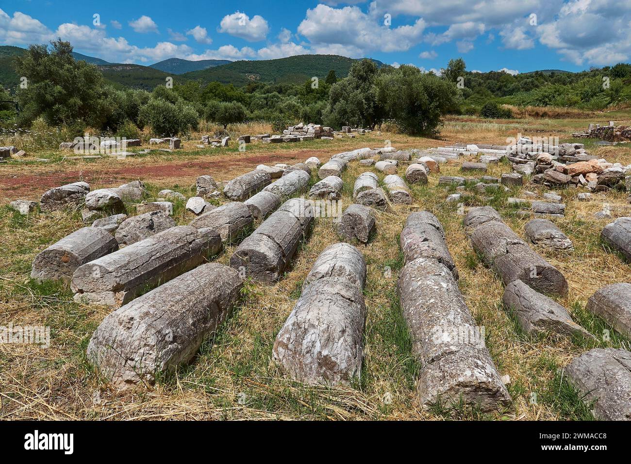 Scattered ancient stone blocks in a meadow with trees in the background ...