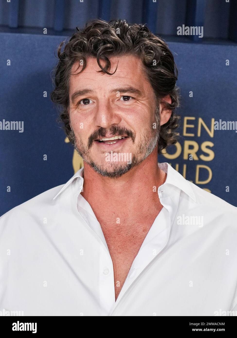 Los Angeles, USA. 24th Feb, 2024. Pedro Pascal walking on the red ...