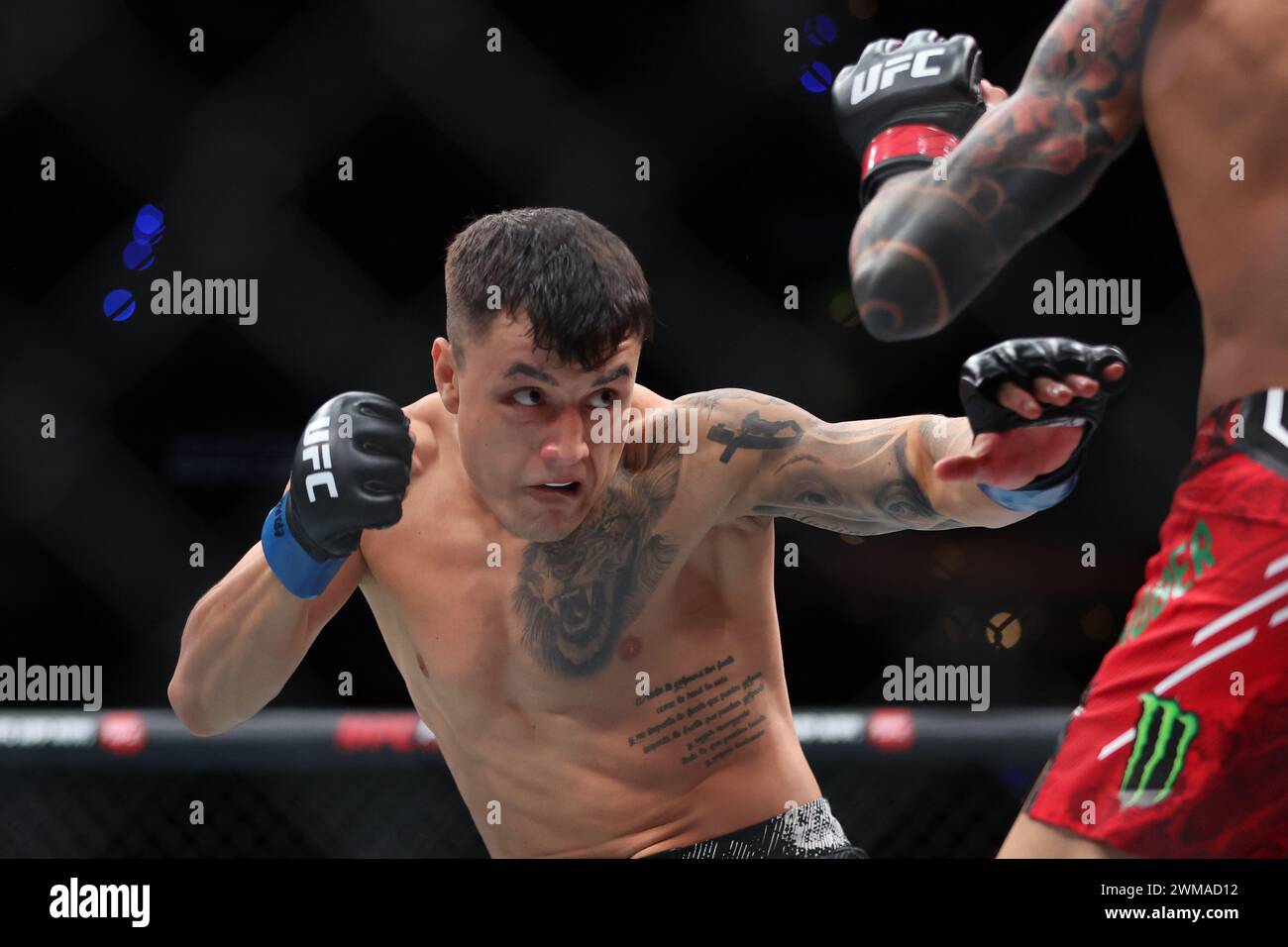 Mexico City, Mexico. 24th Feb, 2024. MEXICO CITY, MEX - February 24 ...