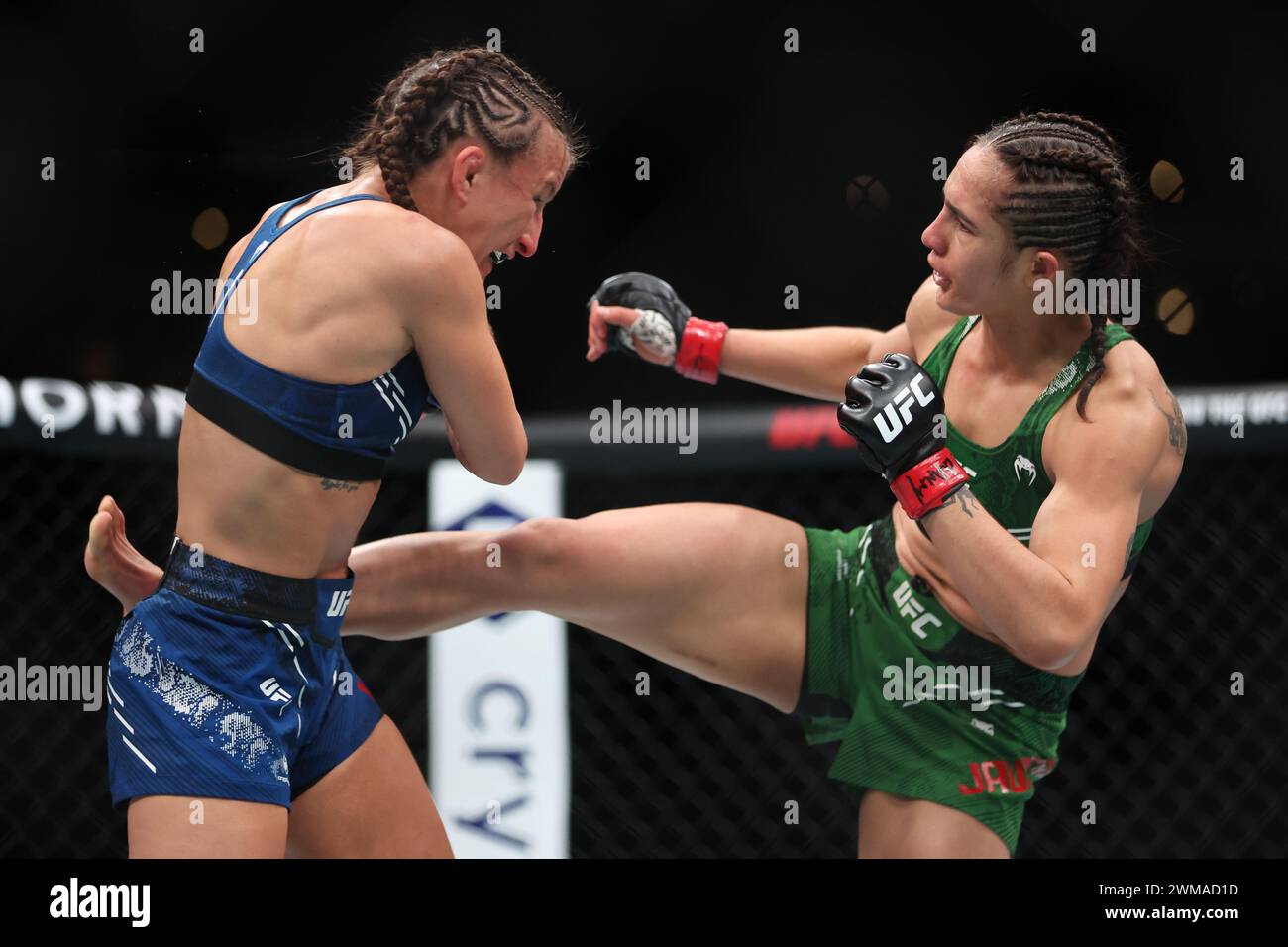 Mexico City, Mexico. 24th Feb, 2024. MEXICO CITY, MEX - February 24 ...