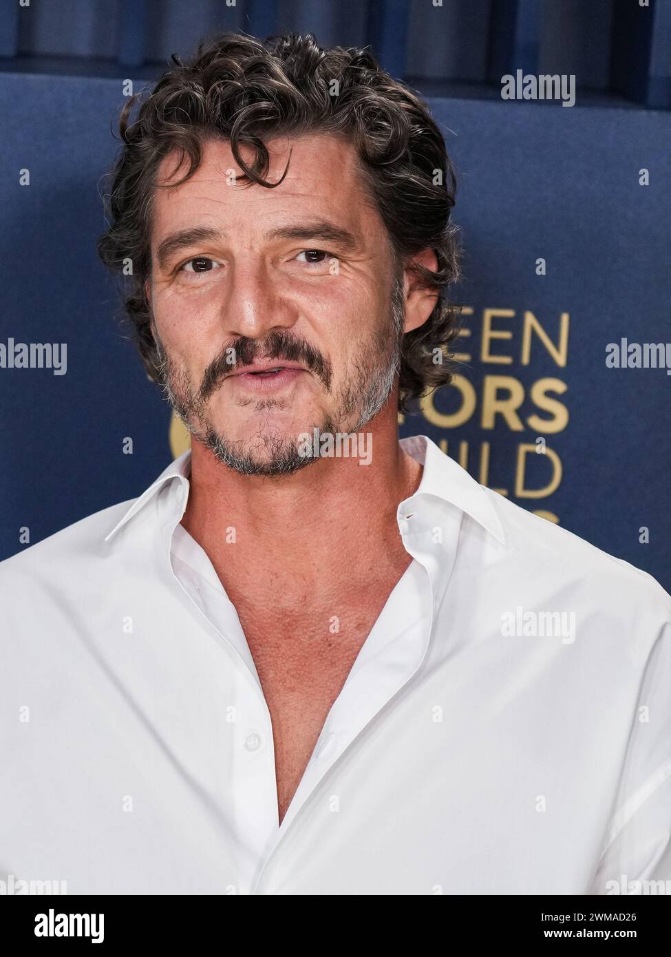 Los Angeles, USA. 24th Feb, 2024. Pedro Pascal walking on the red ...