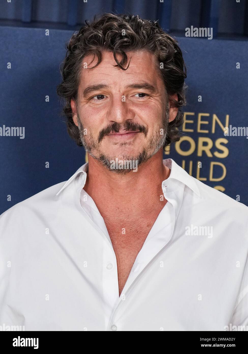 Los Angeles, USA. 24th Feb, 2024. Pedro Pascal walking on the red ...