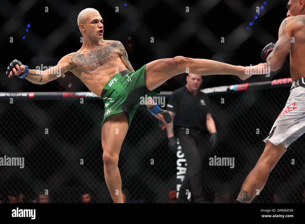 Mexico City, Mexico. 24th Feb, 2024. MEXICO CITY, MEX - February 24 ...