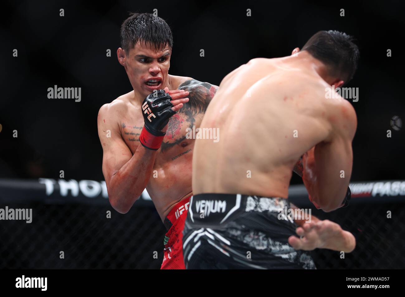 Mexico City, Mexico. 24th Feb, 2024. MEXICO CITY, MEX - February 24 ...