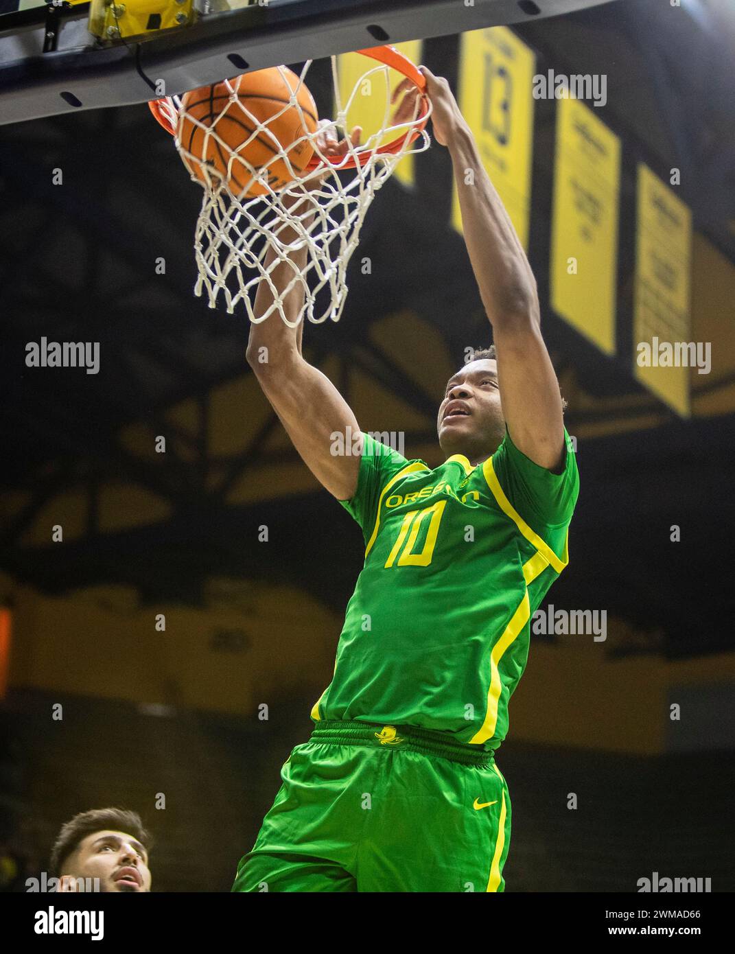 2024 0028 jpg hi-res stock photography and images - Alamy