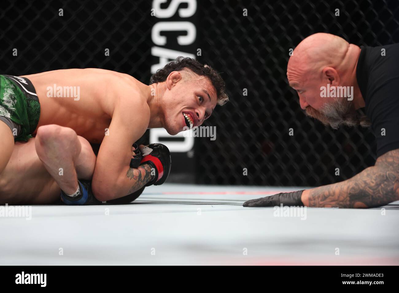 Mexico City, Mexico. 24th Feb, 2024. MEXICO CITY, MEX - February 24 ...