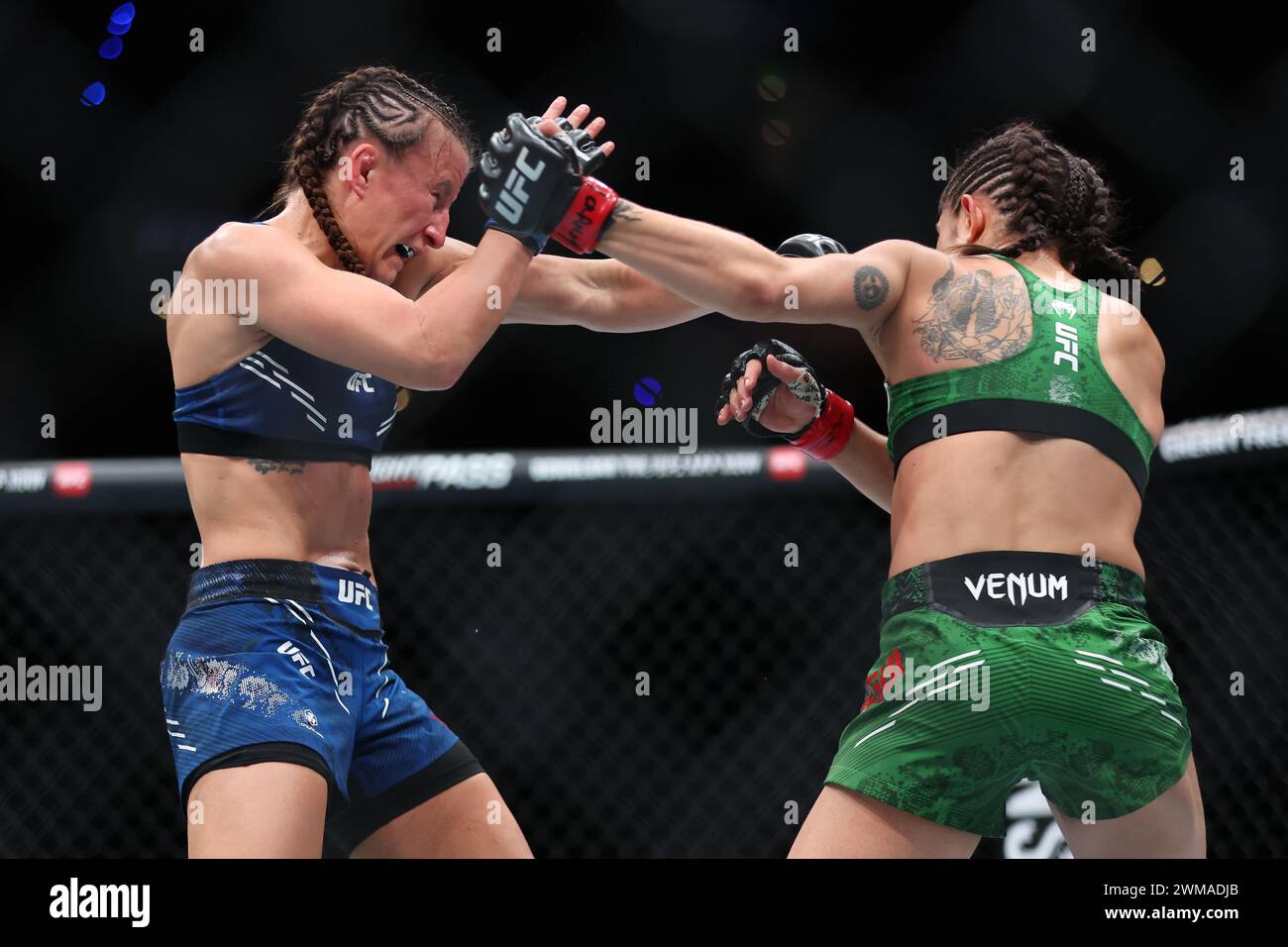 Mexico City, Mexico. 24th Feb, 2024. MEXICO CITY, MEX - February 24 ...