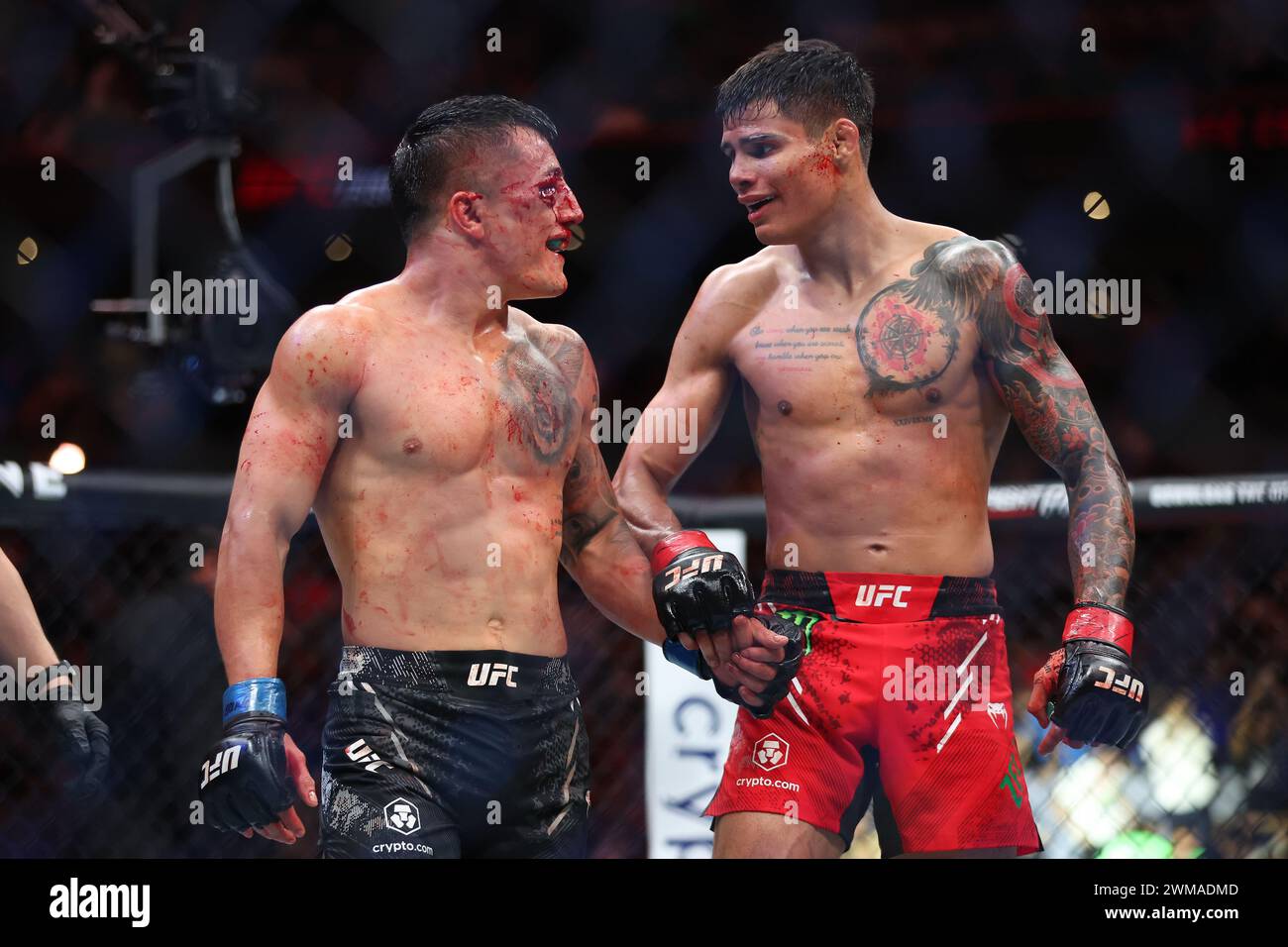 Mexico City, Mexico. 24th Feb, 2024. MEXICO CITY, MEX - February 24 ...