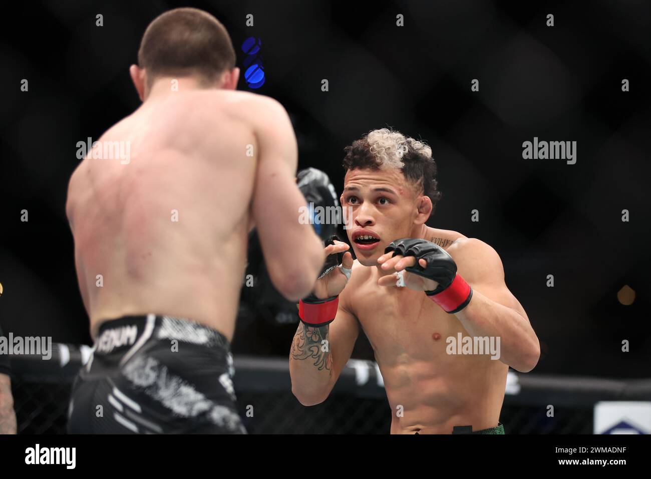 Mexico City, Mexico. 24th Feb, 2024. MEXICO CITY, MEX - February 24 ...