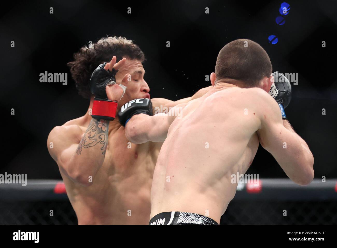 Mexico City, Mexico. 24th Feb, 2024. MEXICO CITY, MEX - February 24 ...