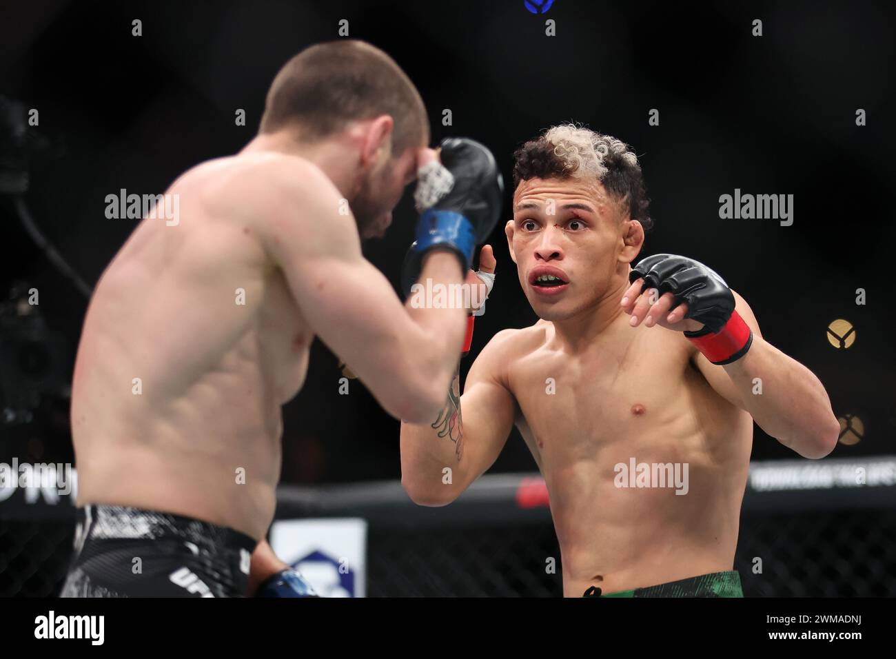 Mexico City, Mexico. 24th Feb, 2024. MEXICO CITY, MEX - February 24 ...