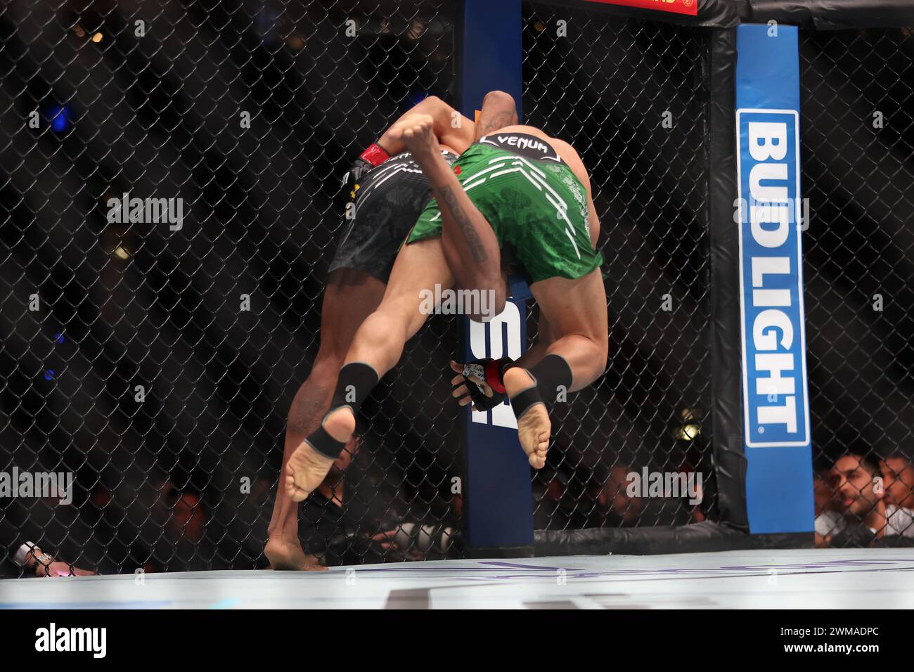 Mexico City, Mexico. 24th Feb, 2024. MEXICO CITY, MEX - February 24 ...