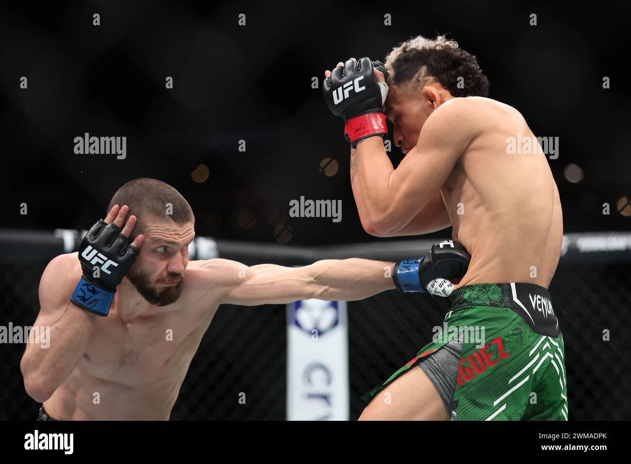 Mexico City, Mexico. 24th Feb, 2024. MEXICO CITY, MEX - February 24 ...