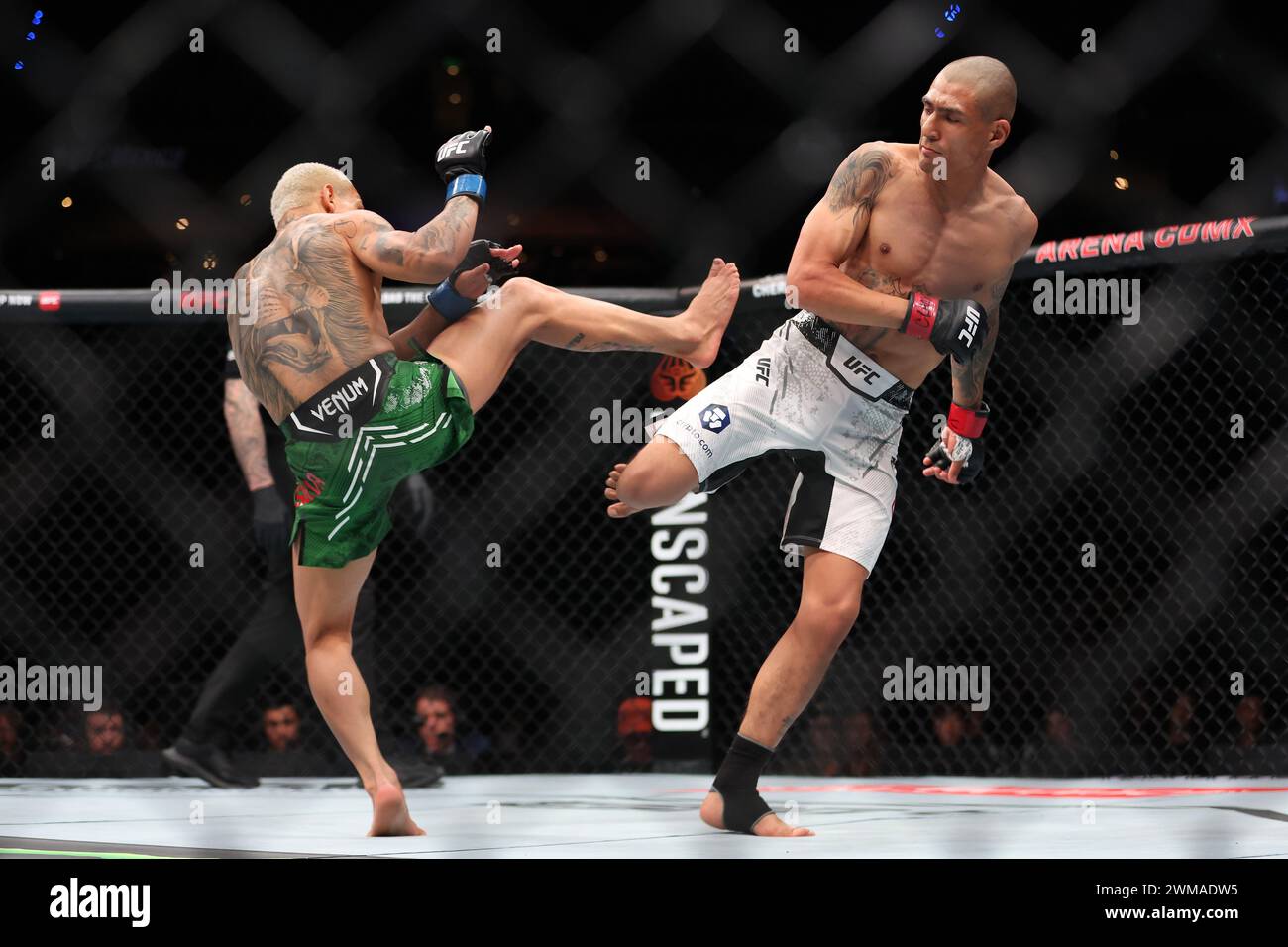 Mexico City, Mexico. 24th Feb, 2024. MEXICO CITY, MEX - February 24 ...