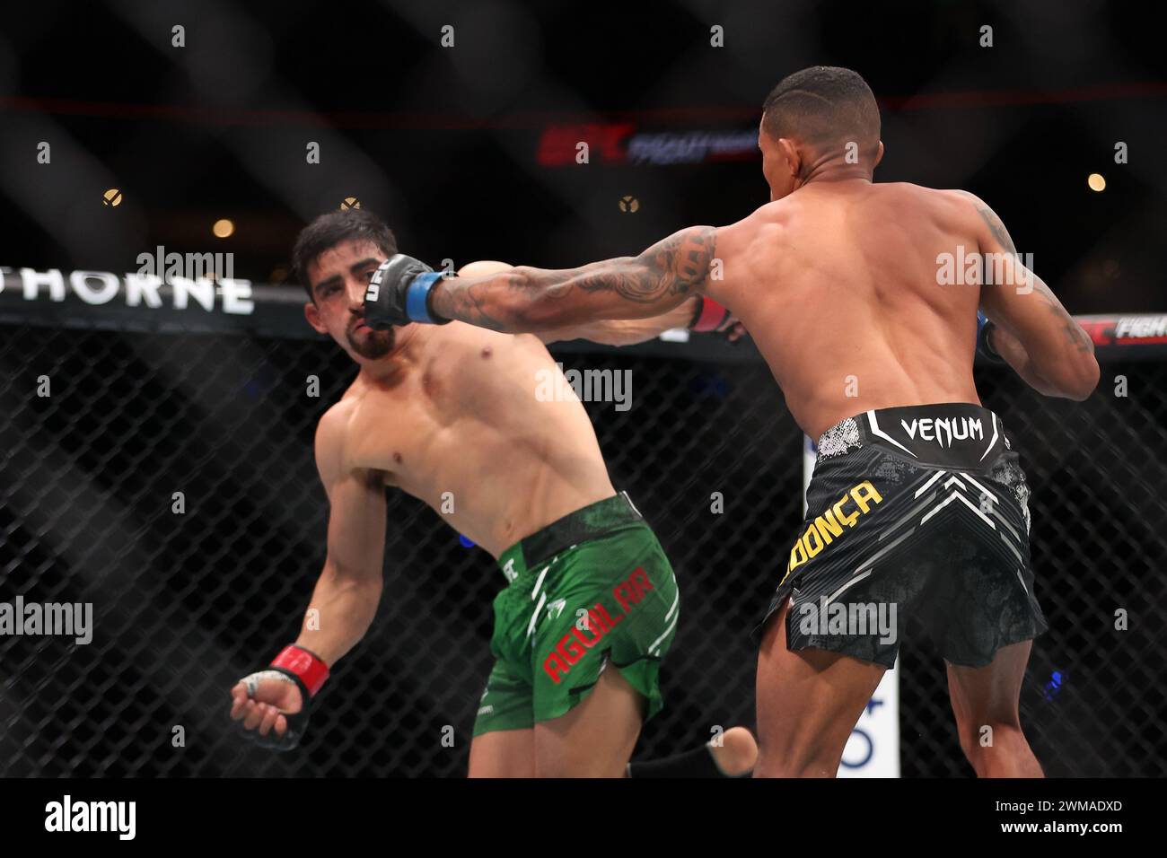 Jesus aguilar and mateus mendonca hi-res stock photography and images ...